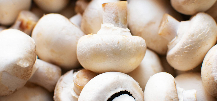 Игристое вино белое брют Fonte Prosecco DOC Schenk Italia 0.75 л (Фонте ...